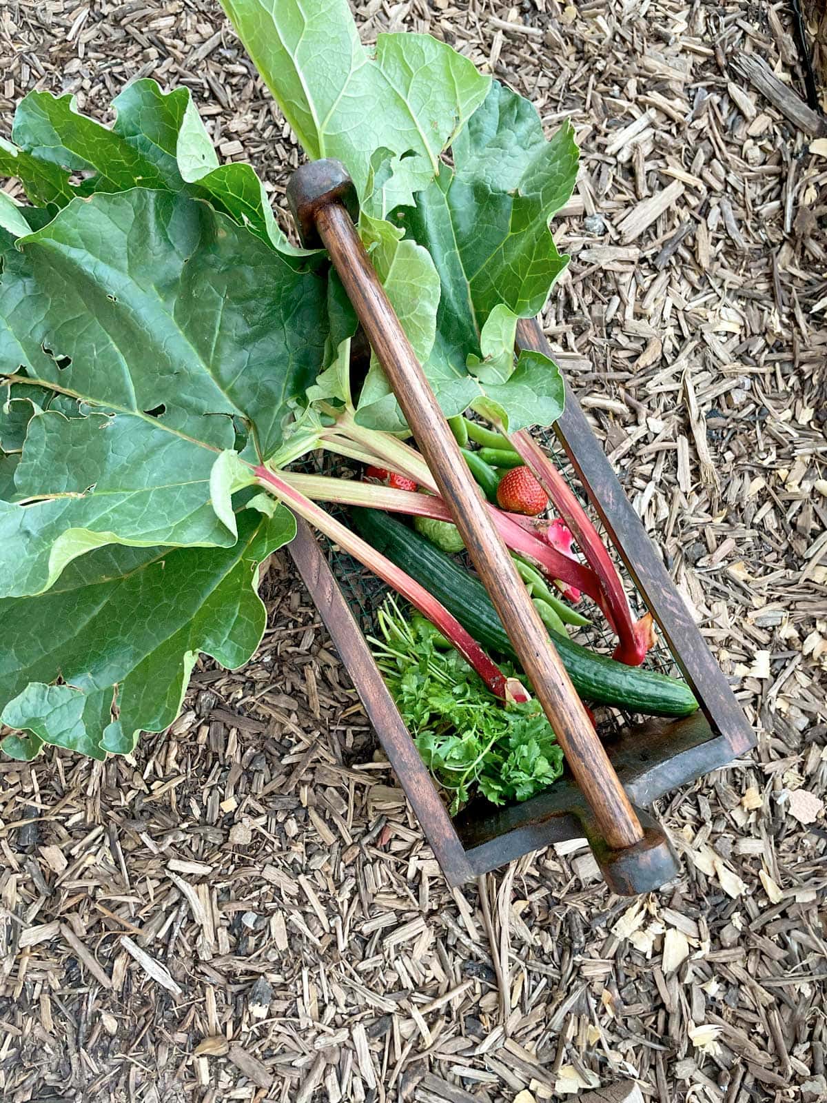 Comprehensive Guide to Make Your Own Garden Hod