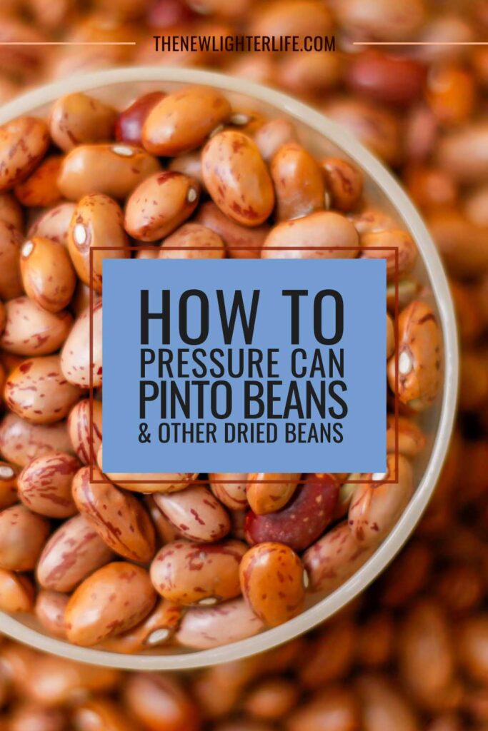 Canning Tomatoes in Water Bath: A Complete Guide