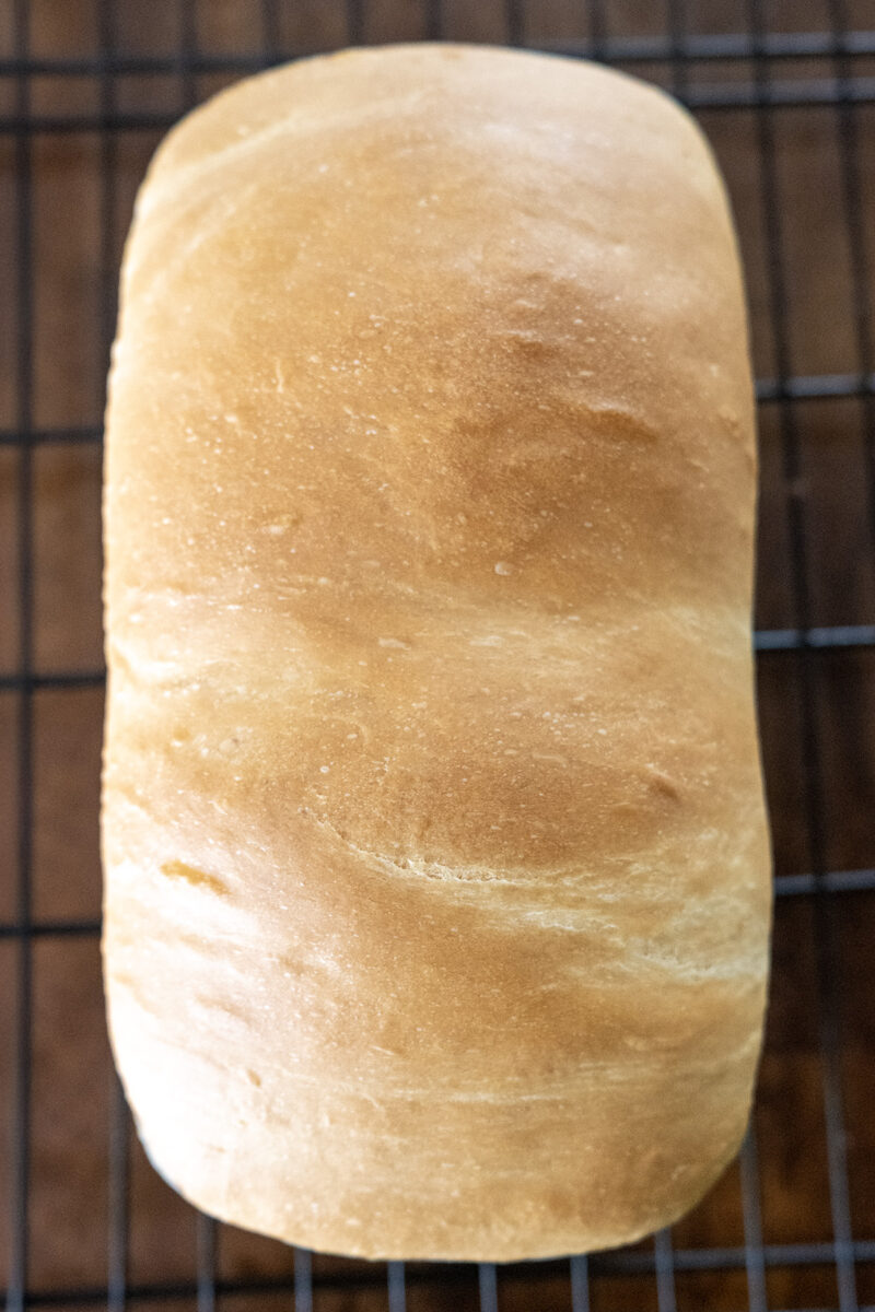 Perfect Sandwich Bread Recipe
