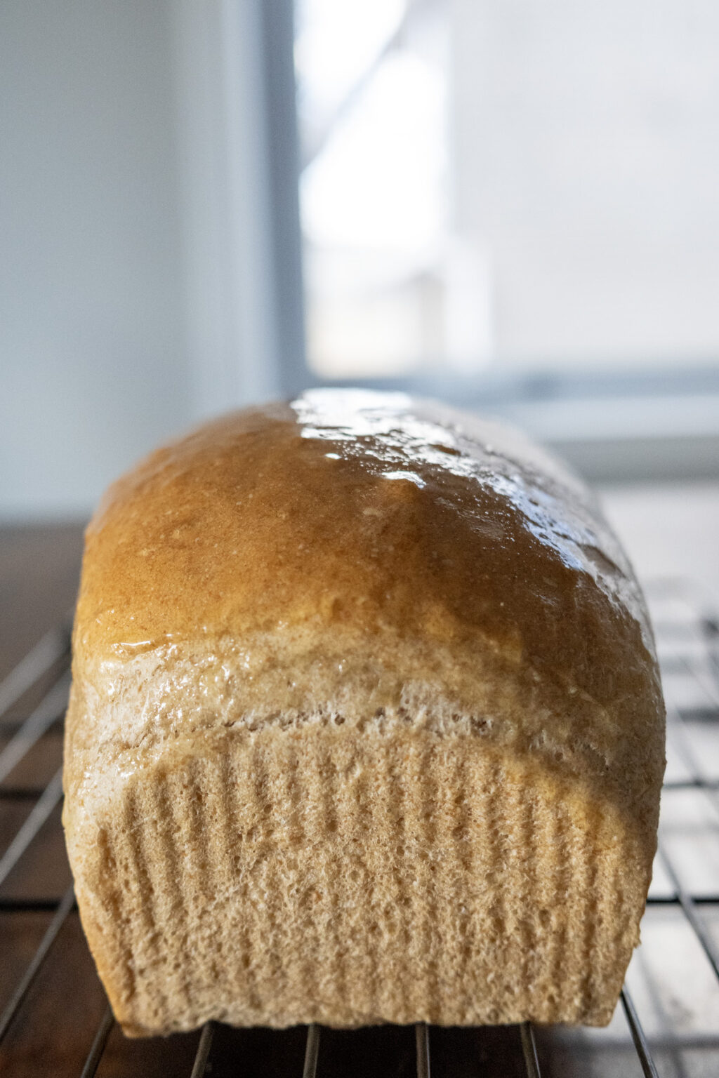 How Yeast Works in Bread Baking: The Magic Behind the Rise