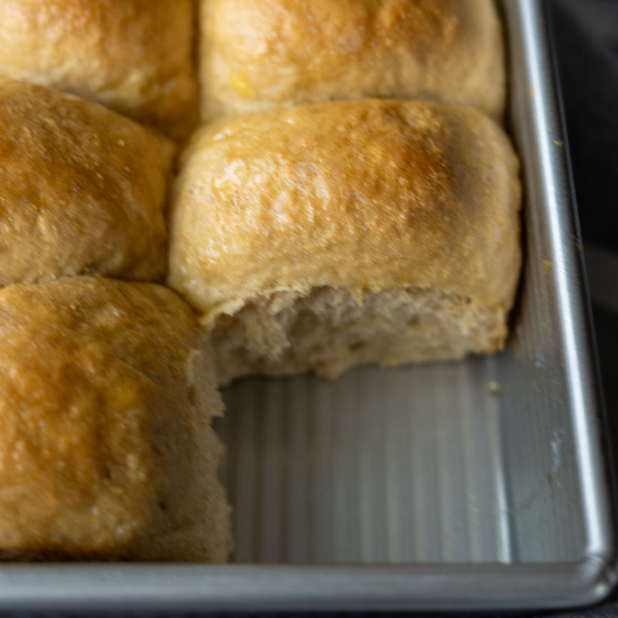 Soft & Wholesome 100% Whole Wheat Dinner Rolls