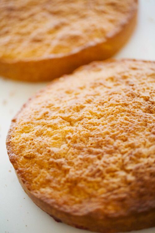 Why Do Cakes Sink (And How to Fix It)