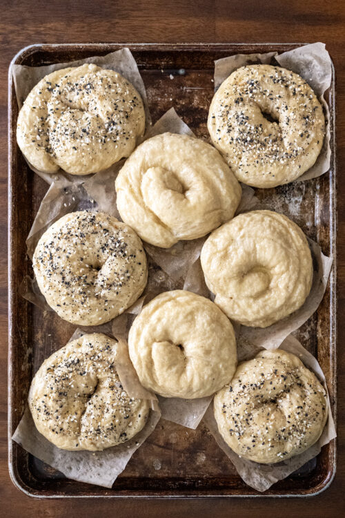 Foolproof Authentic Bagel Recipe