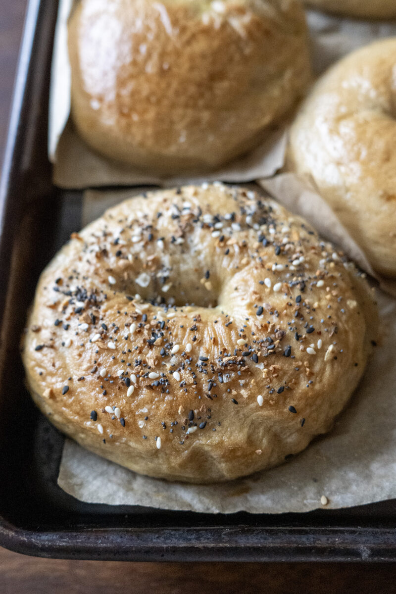 Foolproof Authentic Bagel Recipe