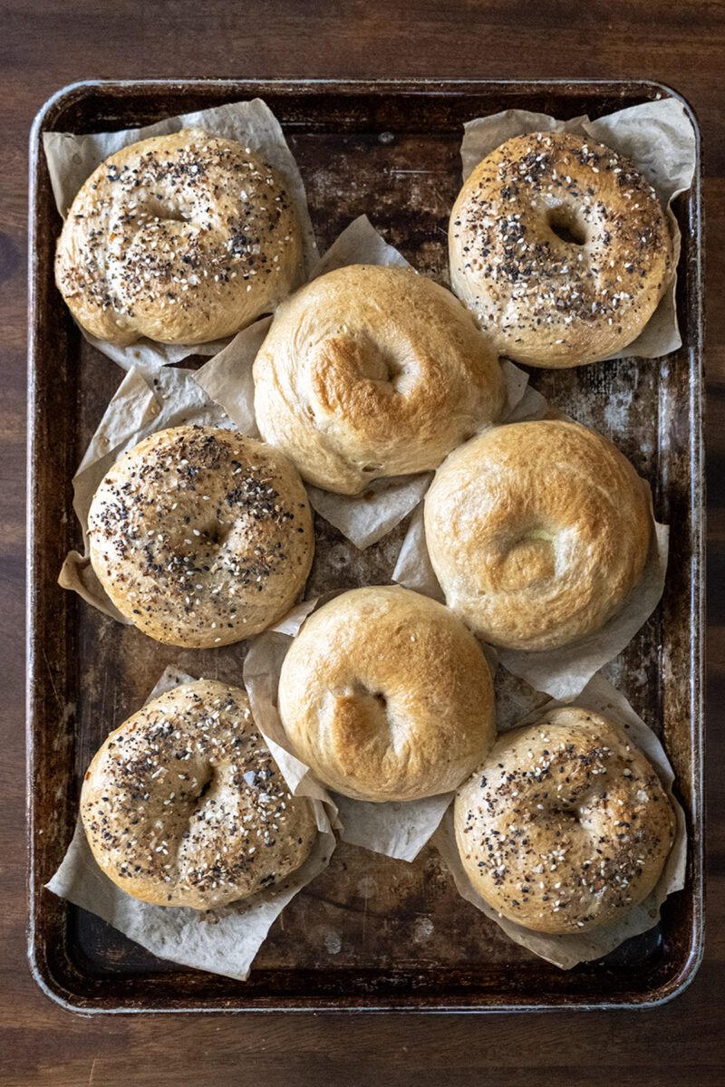 Foolproof Authentic Bagel Recipe